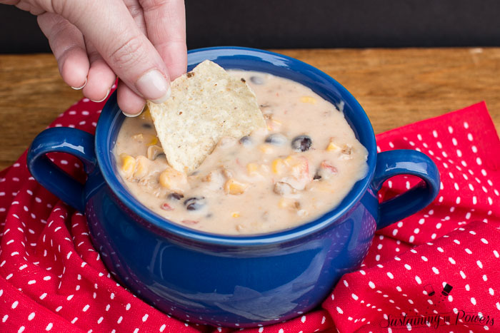 Game Day Queso, The Secret to Melty Cheese & a Crocktober Giveaway ...